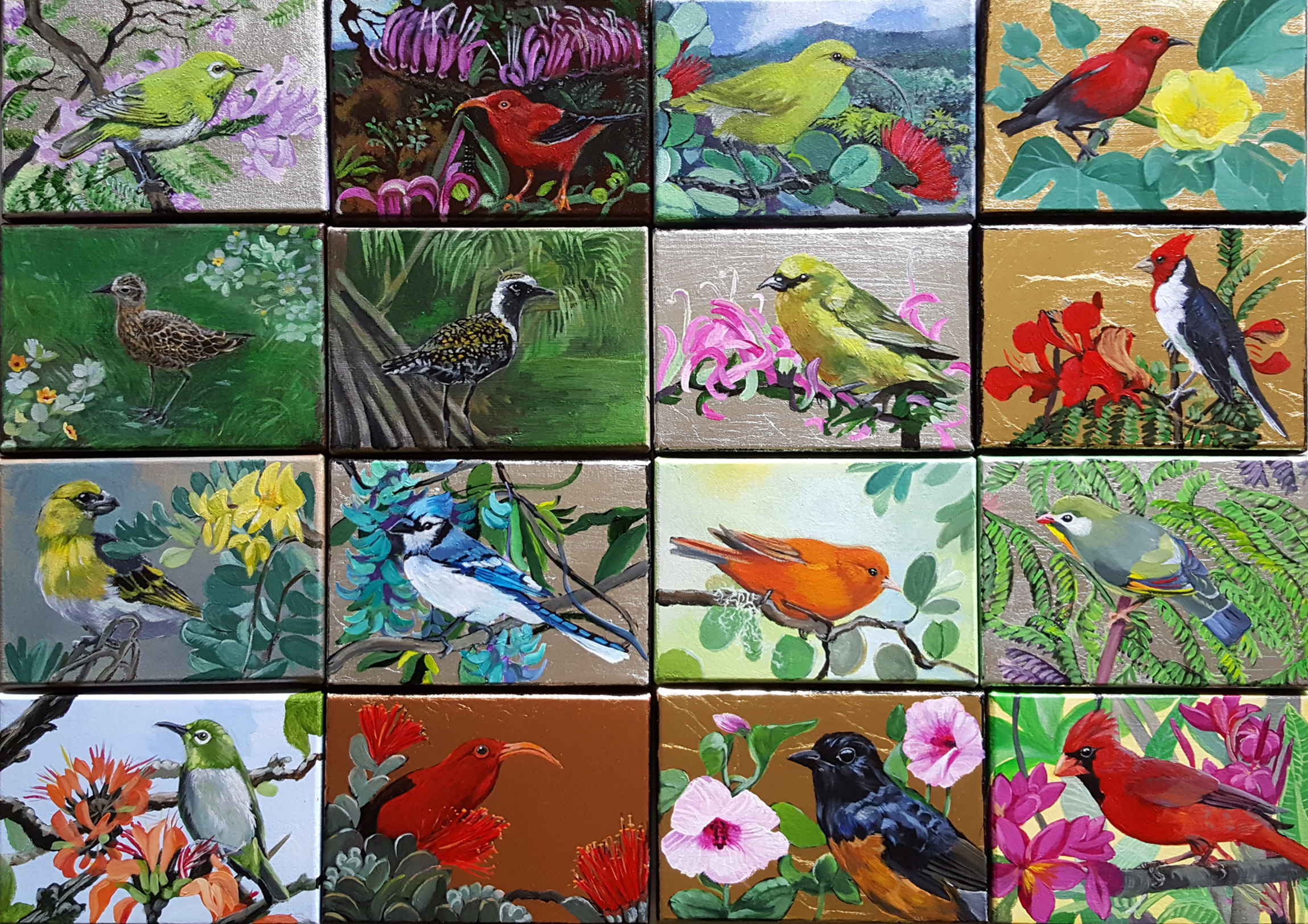 All the Birds in Chronological Order – Wendy Roberts Fine Art