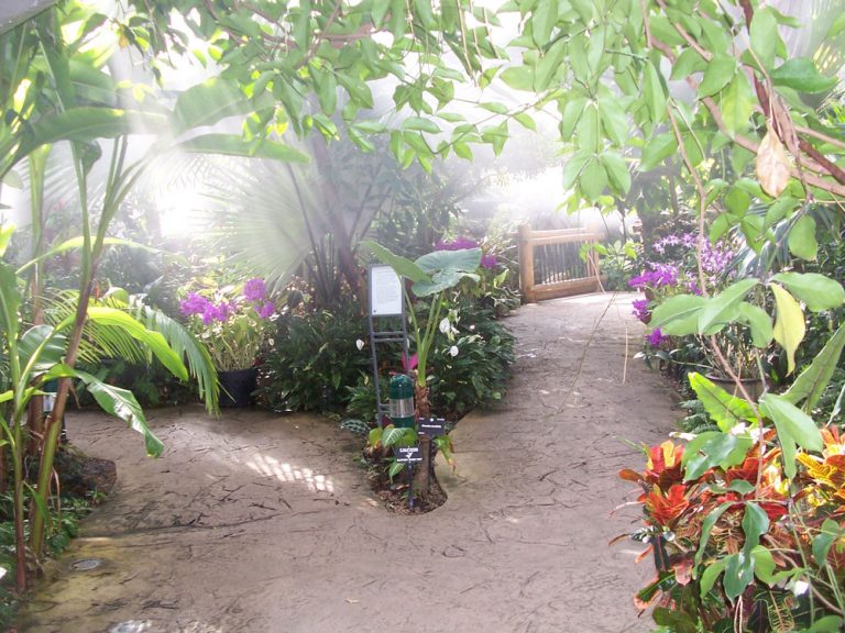 Denver Botanical Sidewalk – Wendy Roberts Fine Art