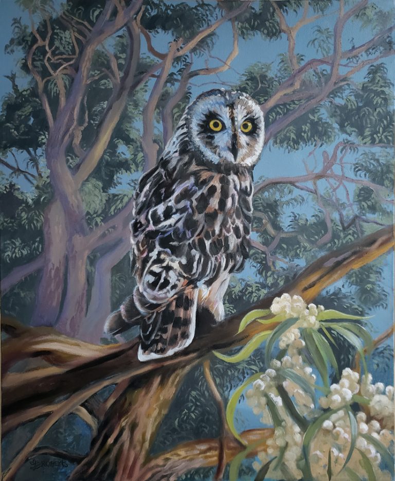 Pueo in a Koa Tree – Wendy Roberts Fine Art